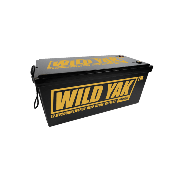 Can I Use Lithium and Lead-acid Battery Together? – Wild Yak Inc.