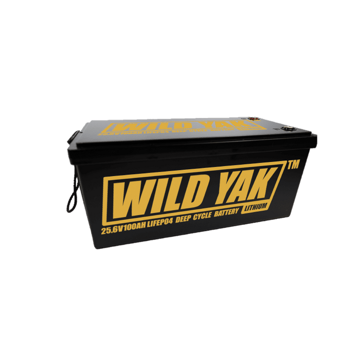 Can I Use Lithium and Lead-acid Battery Together? – Wild Yak Inc.